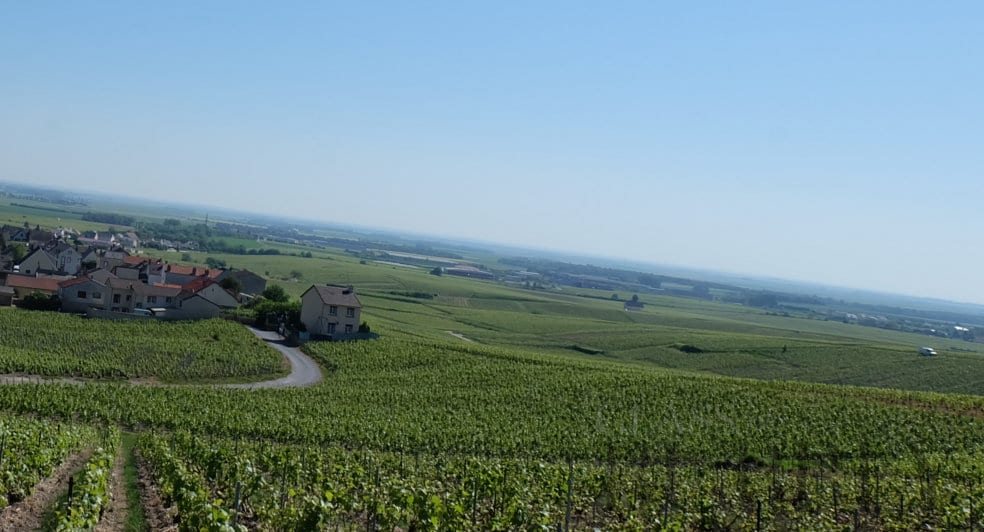 Aube en Champagne | Glass Of Bubbly