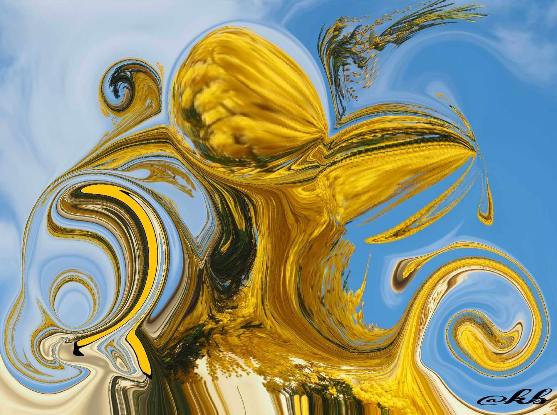 KRISS BLACHE | Kriss Blache, artiste | Photographe | Salon-de-Provence