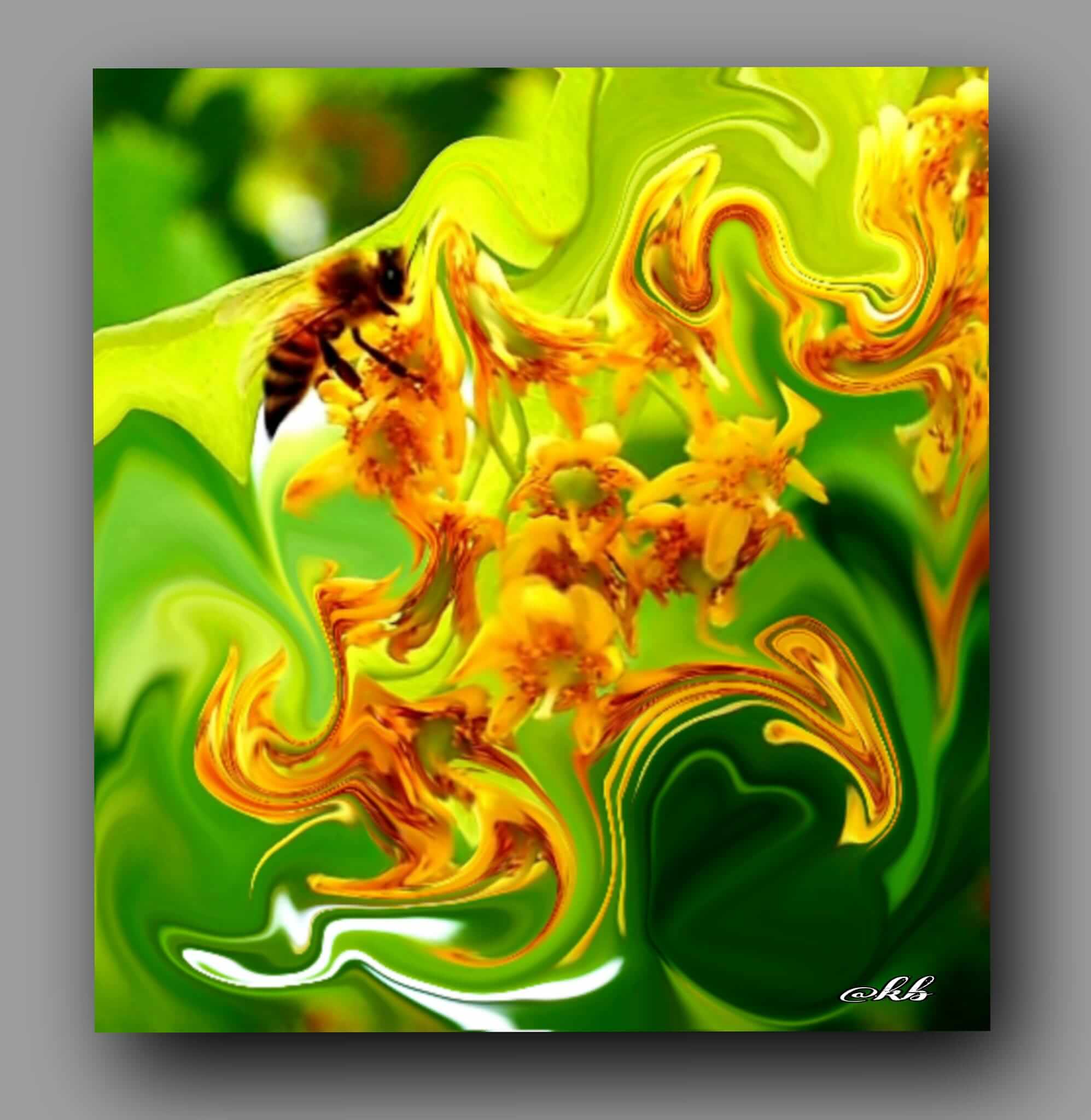 KRISS BLACHE | Kriss Blache, artiste | Photographe | Salon-de-Provence