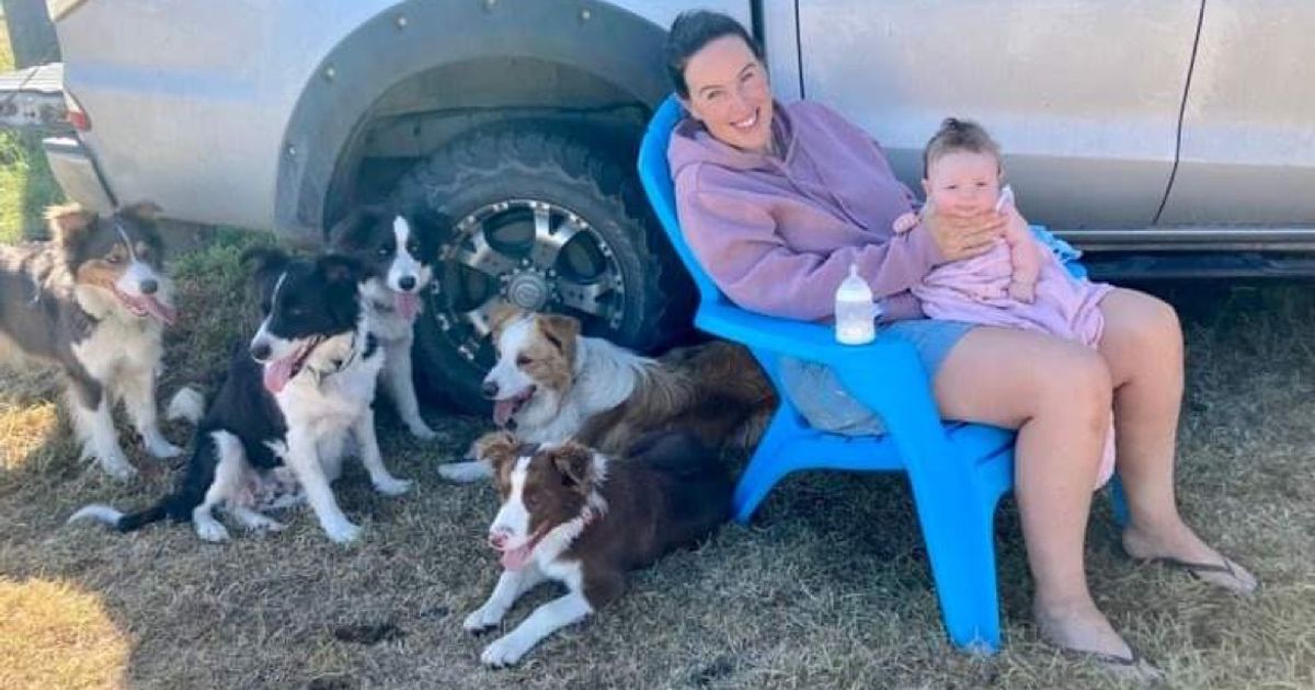 Blue Valley Ranch, responsible breeder in Victoria - RightPaw