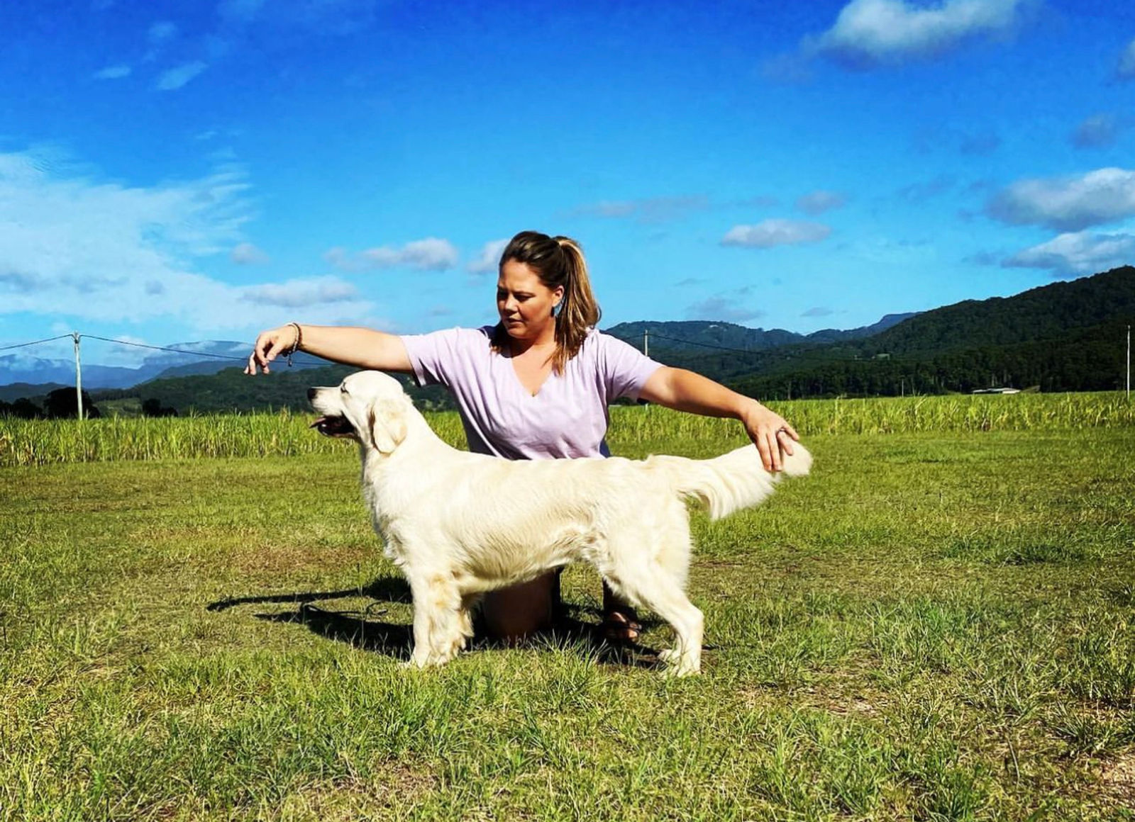 Whiskey River Golden Retrievers, responsible breeder in New South Wales ...