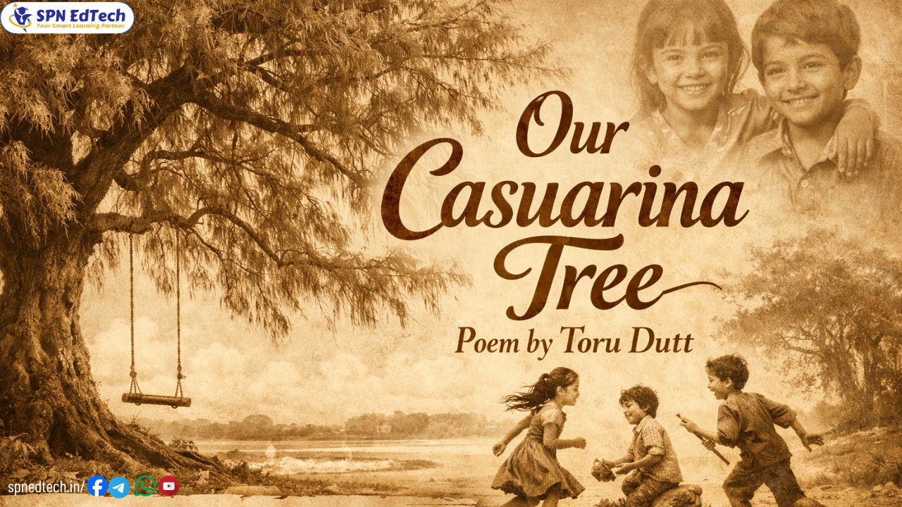 Our Casuarina Tree Notes