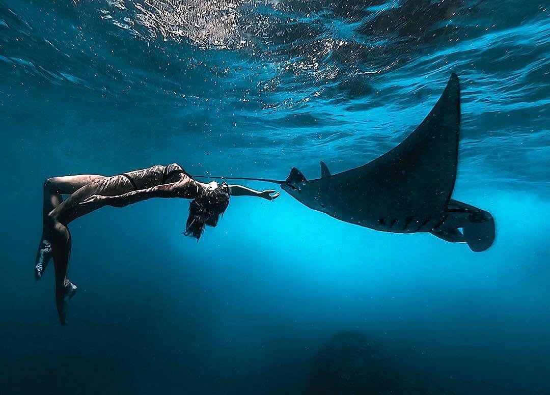 Snorkeling in Nusa Penida Tour | Manta Rays Bali