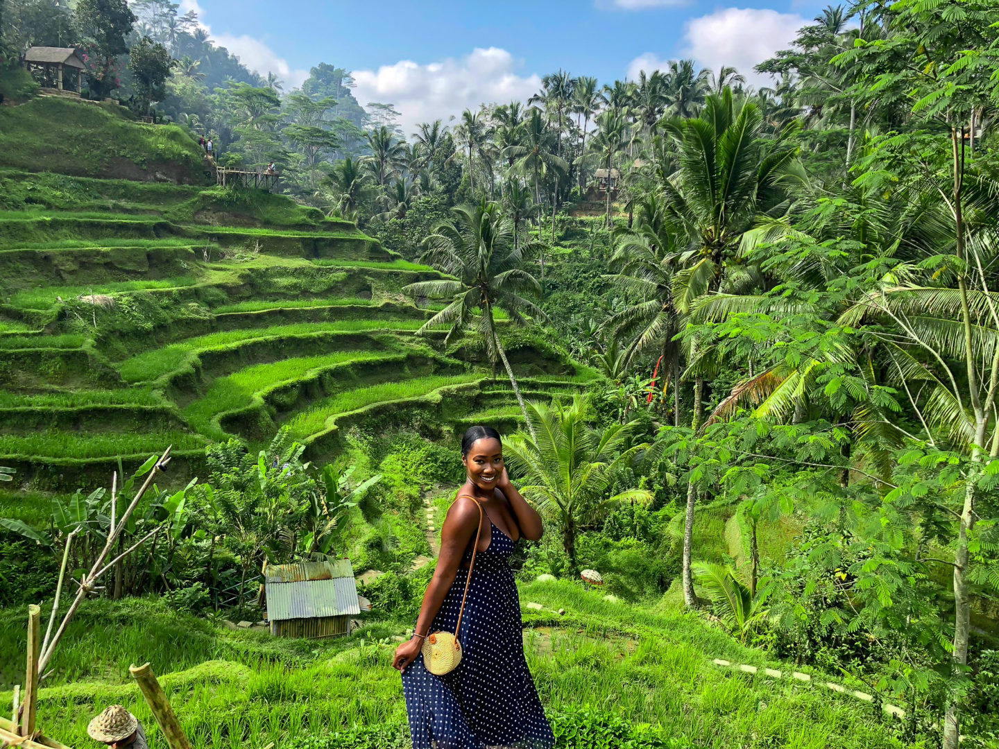 Ubud Rice Terrace Tour | Bali Tegalalang Rice Terraces & More
