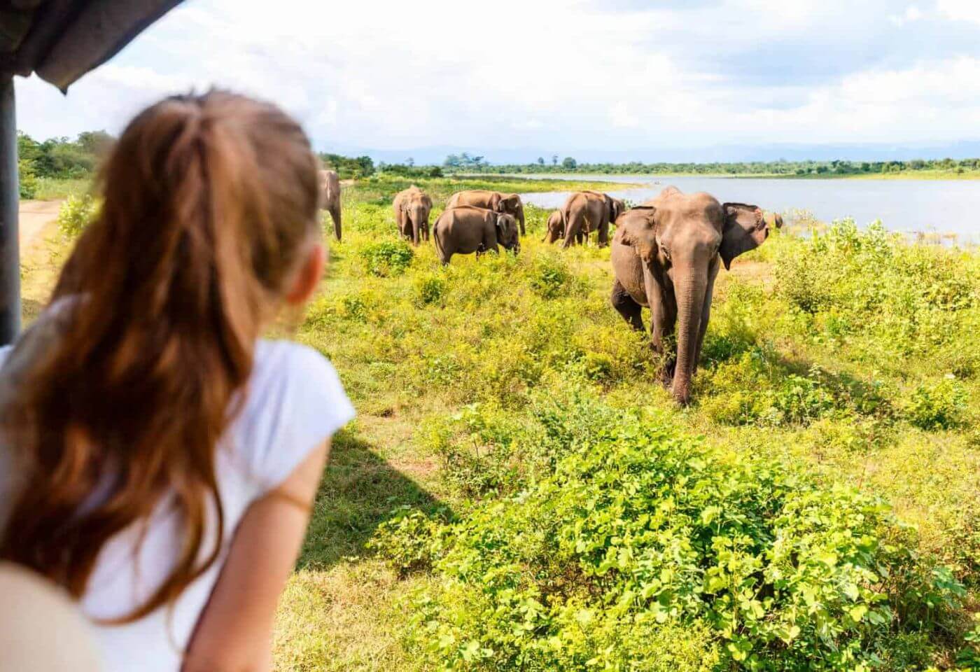 Polonnaruwa Unesco Ancient City And Elephant Safari Adventure | Private ...