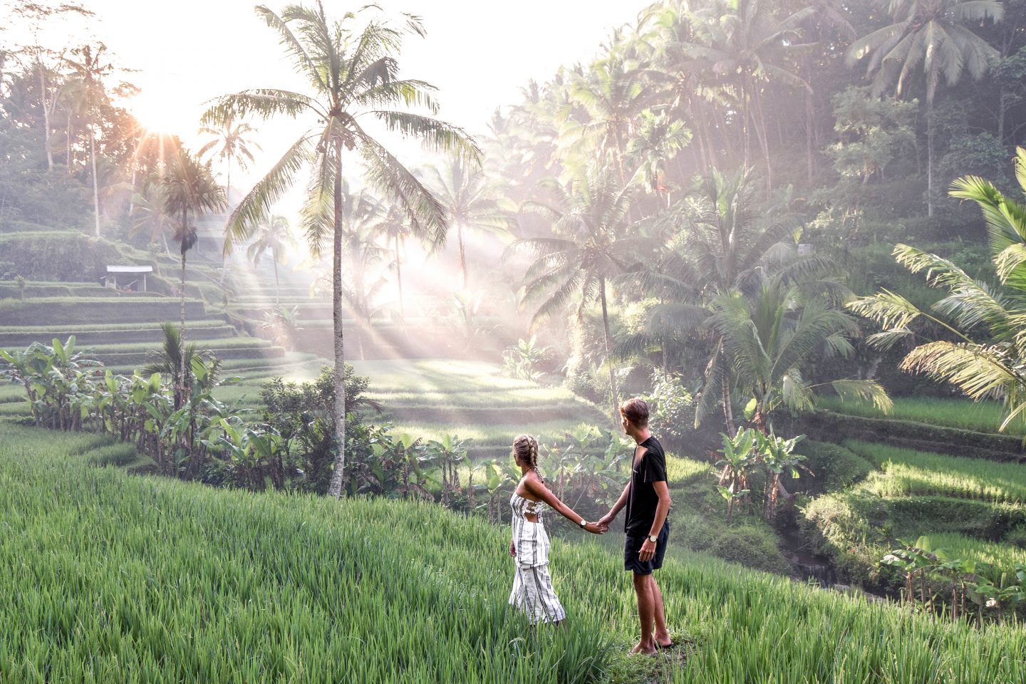 Ubud Rice Terrace Tour | Bali Tegalalang Rice Terraces & More