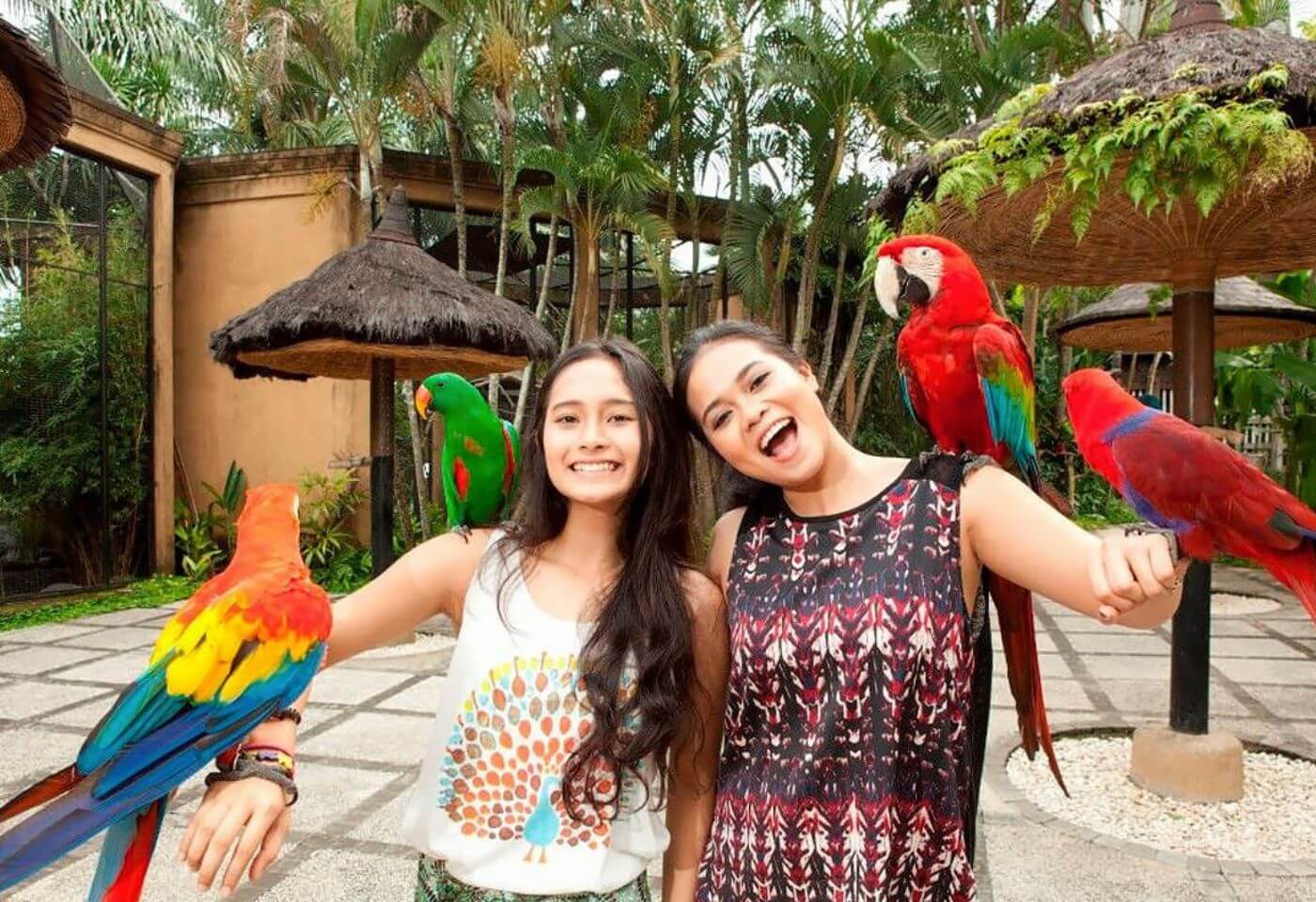 Bali Bird Park & Monkey Forest Tour | Private Bali Animal Tour