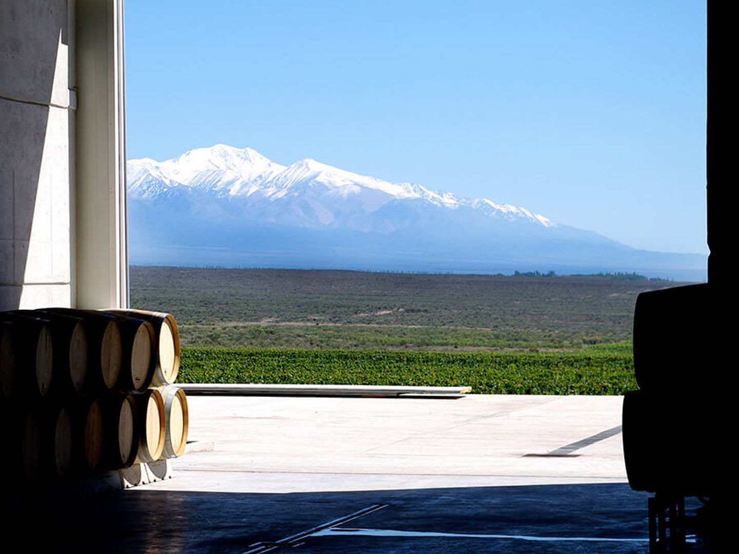 Mariflor - Rolland Collection