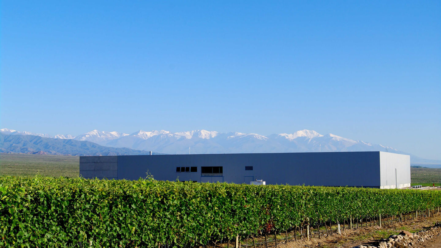 Mariflor - Rolland Collection