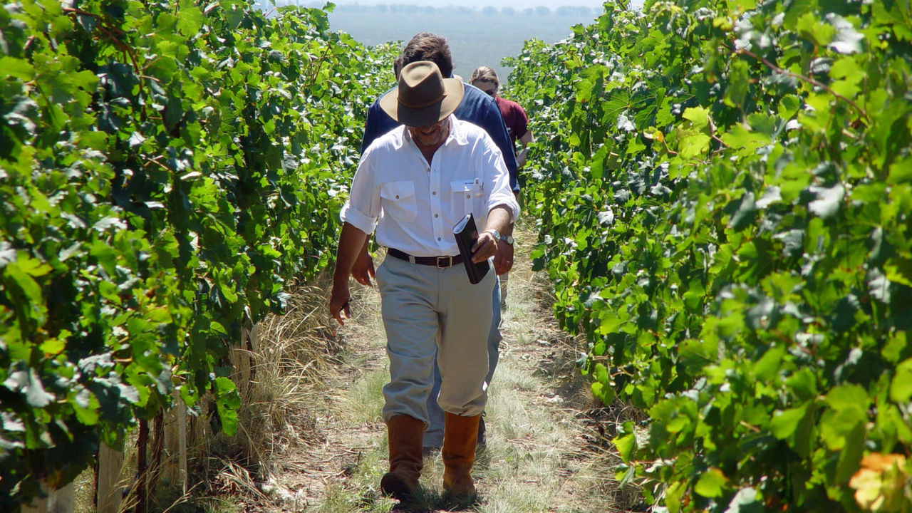 Michel Rolland - Rolland Collection