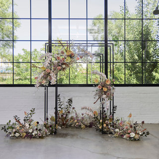 Colt Arbor - Collected & Co. : Collected & Co.