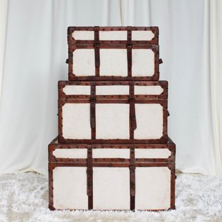 IVORY TRUNK - LG - Prophouse