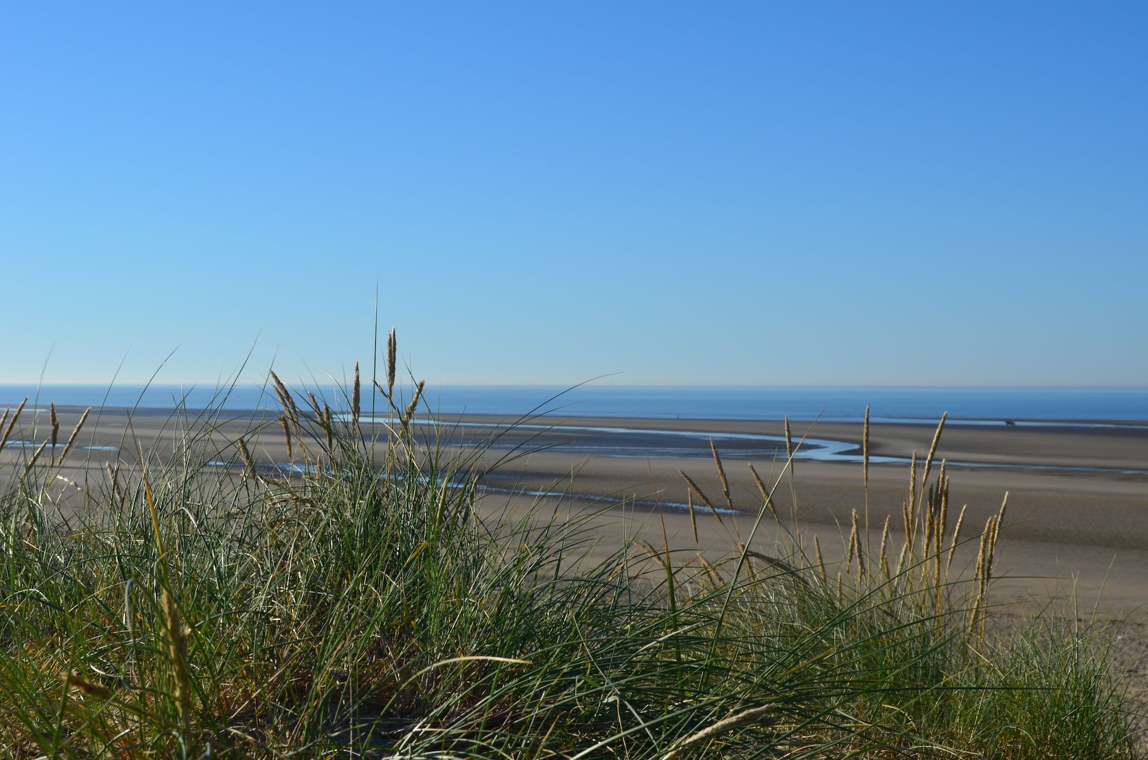 Camber Sands | Rye and Beyond Holiday Cottages