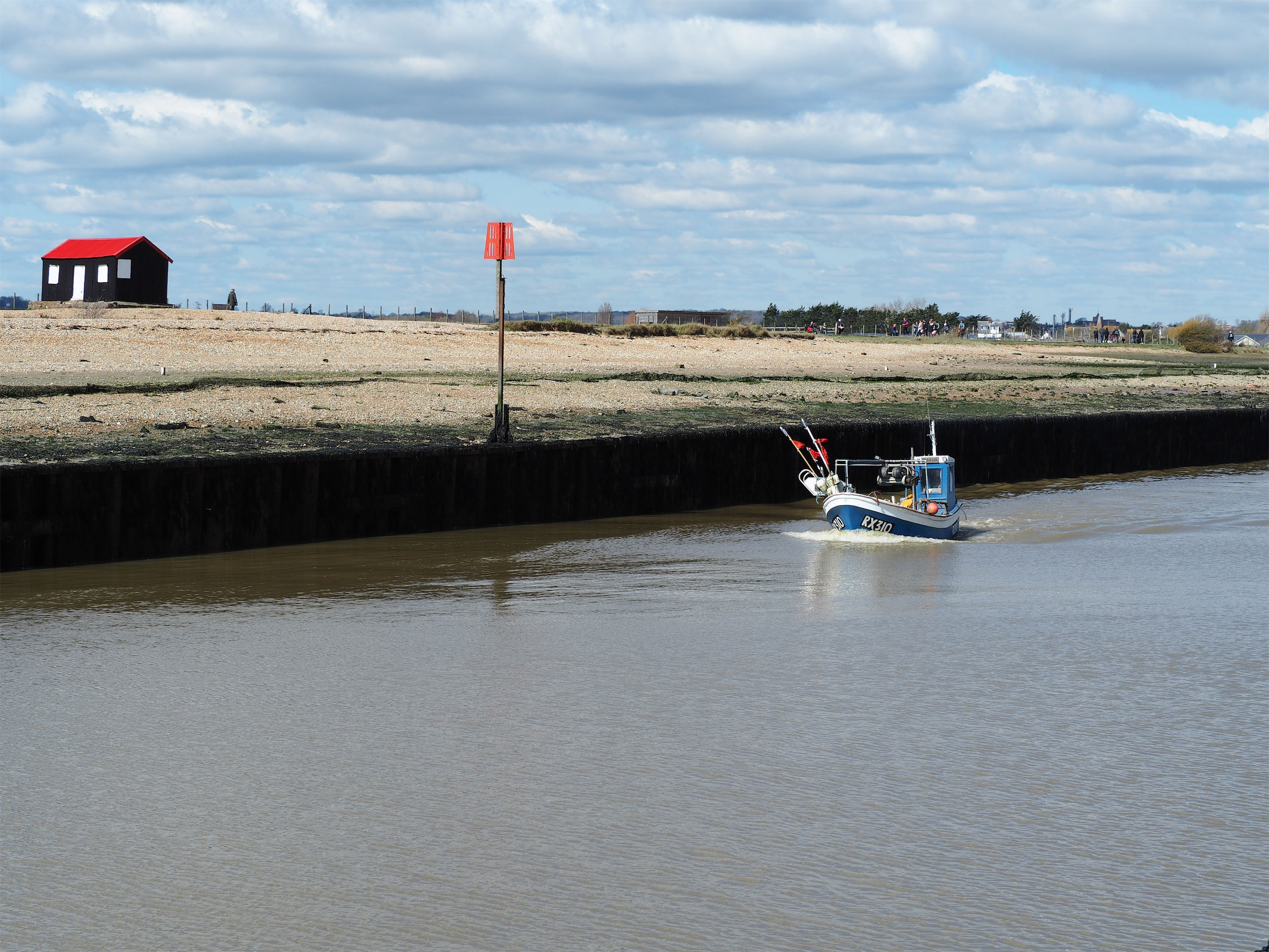 A Wild Winter's Tale: Nature and Wildlife Spotting in Rye Bay, East ...
