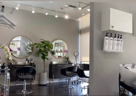 Salon Pics - Wellness Photo Albums By Brendan O’Neal