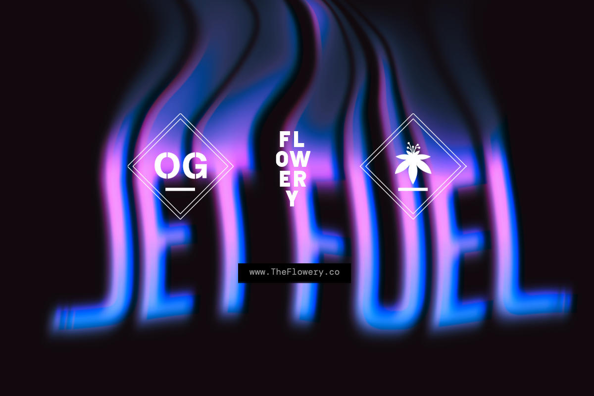 JET FUEL OG EIGHTH - The Flowery Shop