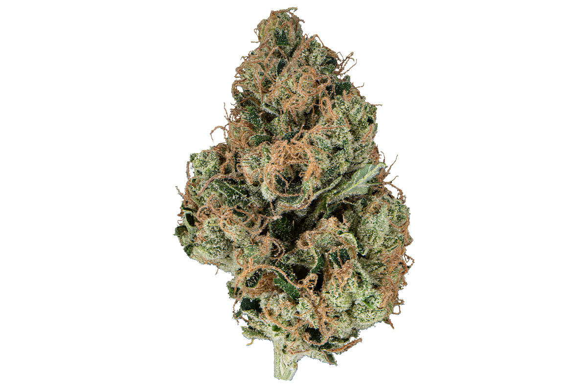 East Coast Sour Diesel Eighth - The Flowery Shop
