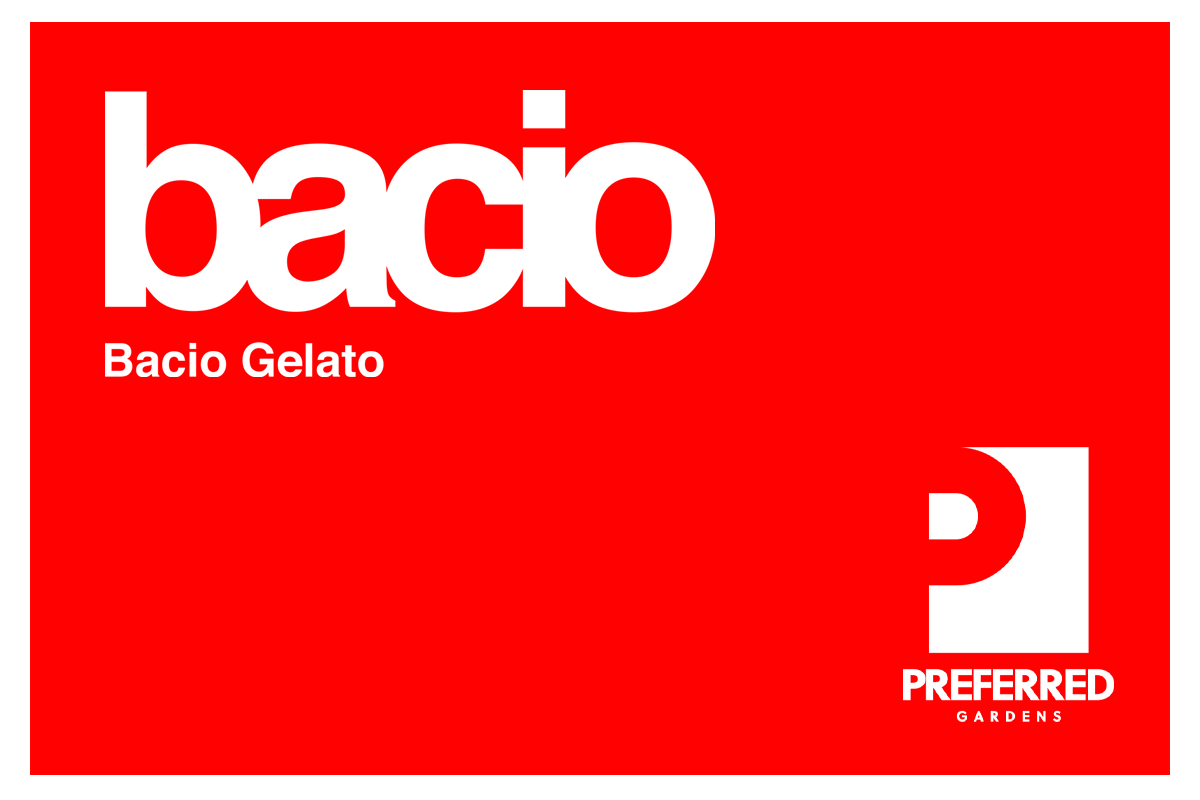 Bacio Gelato Eighth - The Flowery Shop