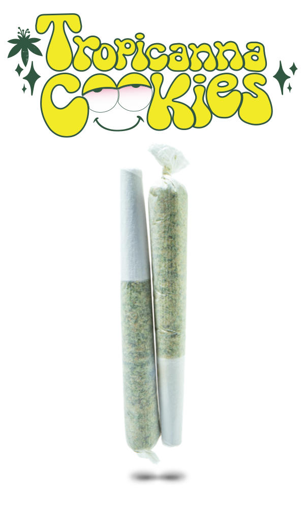 Tropicana Cookies Prerolls 2X.5g - The Flowery Shop