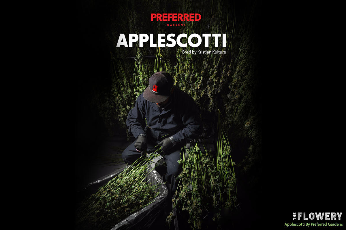 Applescotti 7g Juniors - The Flowery Shop