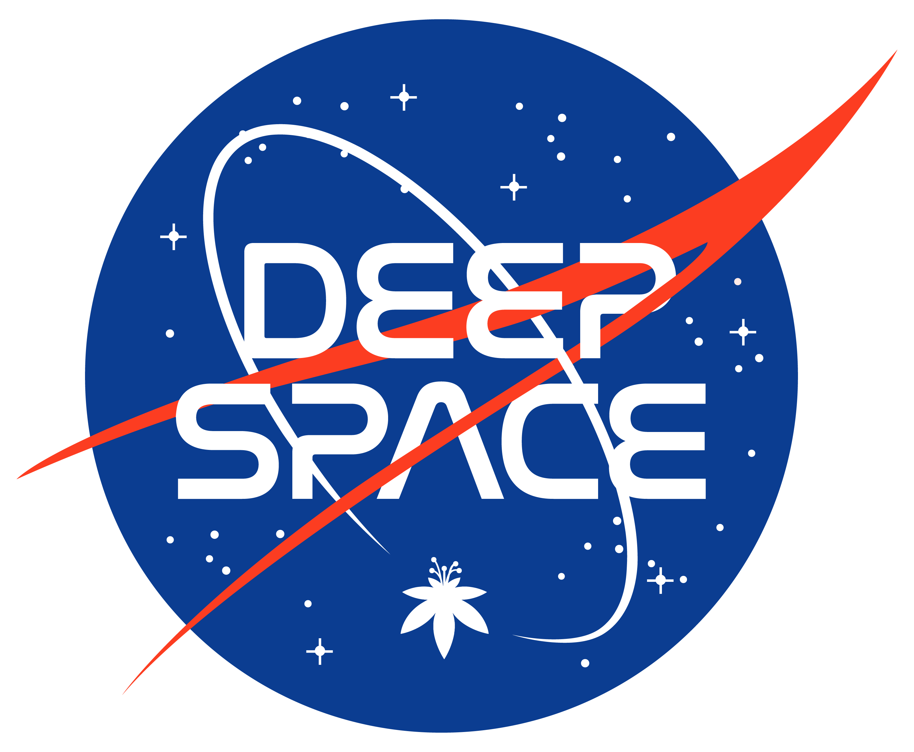 Deep Space Whole Flower Preroll 1G - The Flowery Shop