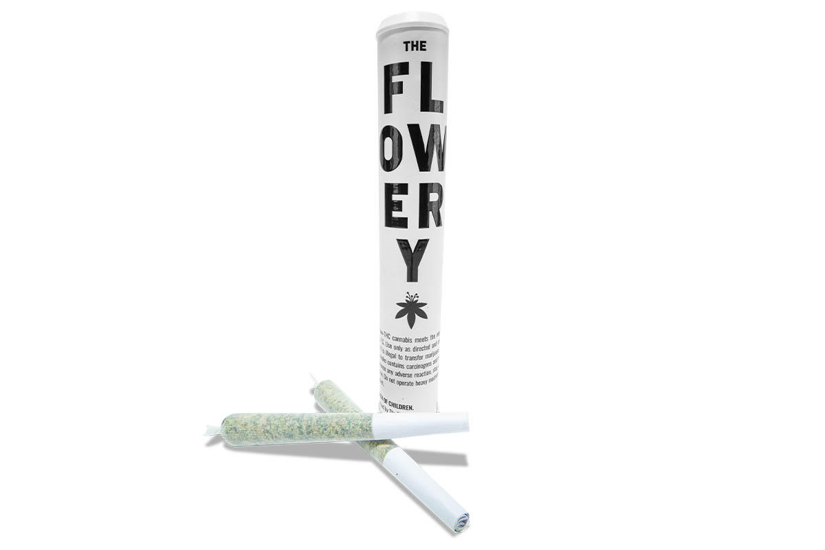 Sherbanger 22 Whole Flower Prerolls 2x0.5g - The Flowery Shop