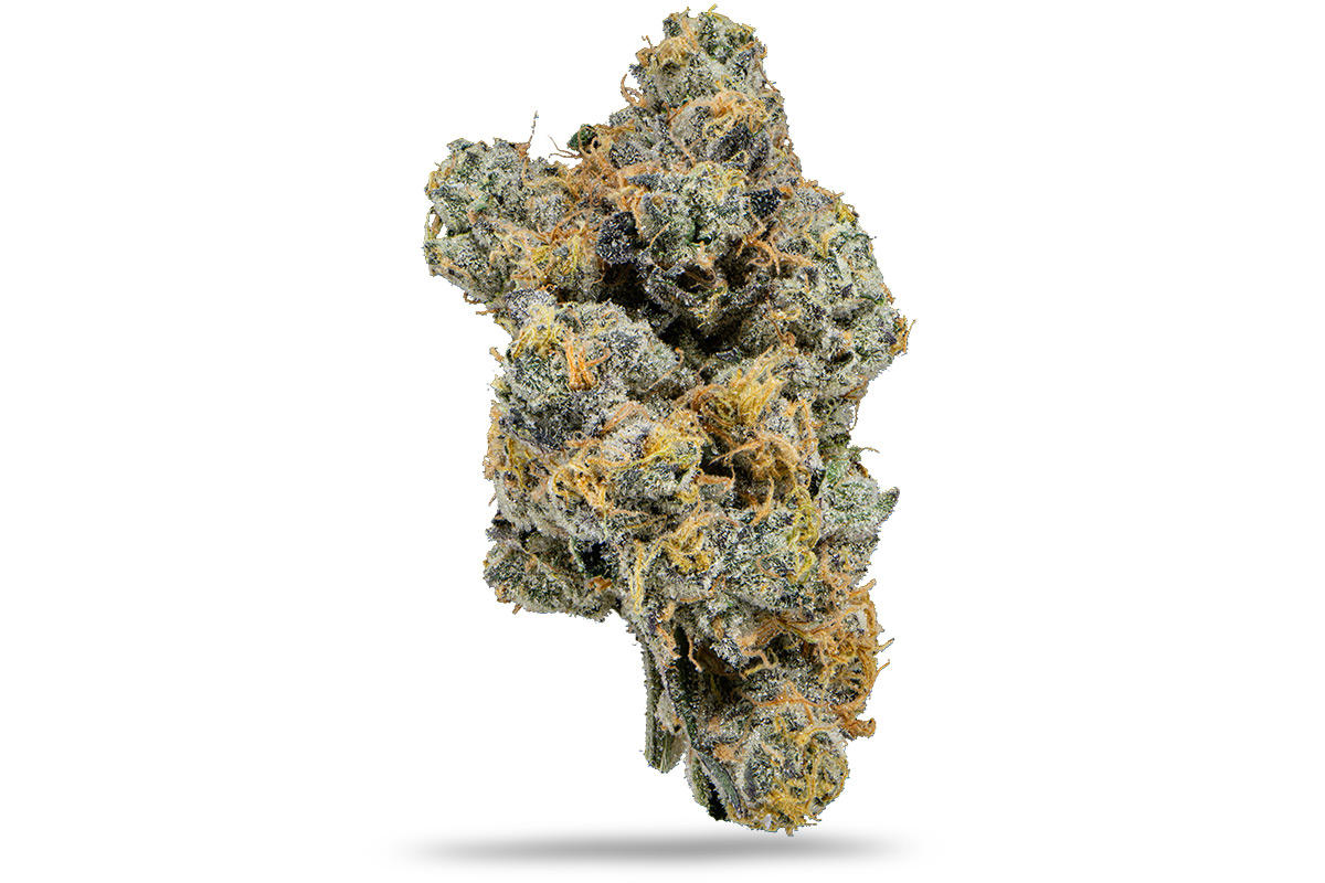 Platinum Cookies Eighth - The Flowery Shop
