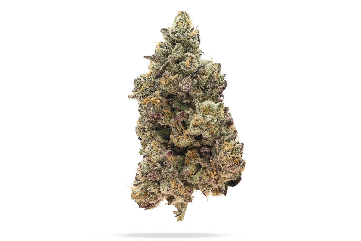 710 Labs 14g Persy Flower - Rick Jamez #3 - The Flowery Shop