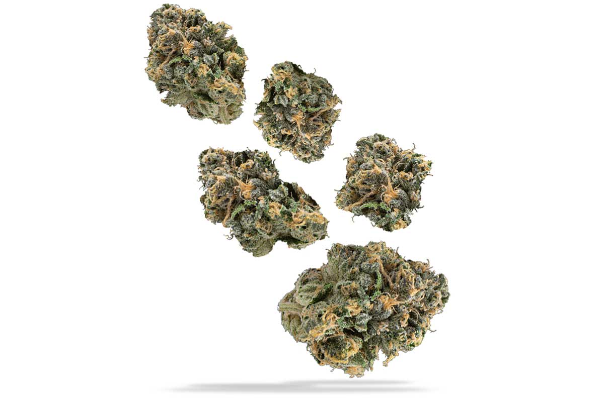 Helium 7g Juniors - The Flowery Shop