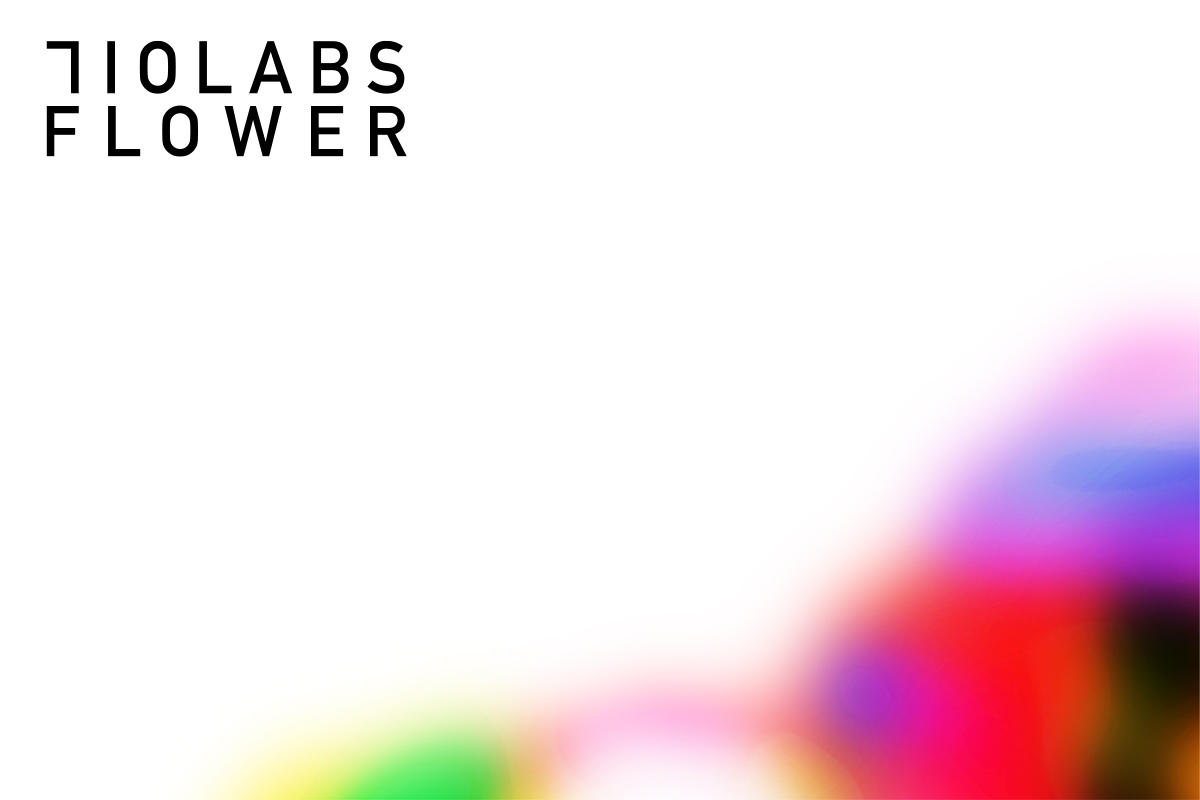 710 Labs 14g Flower - Jackson Heightz - The Flowery Shop