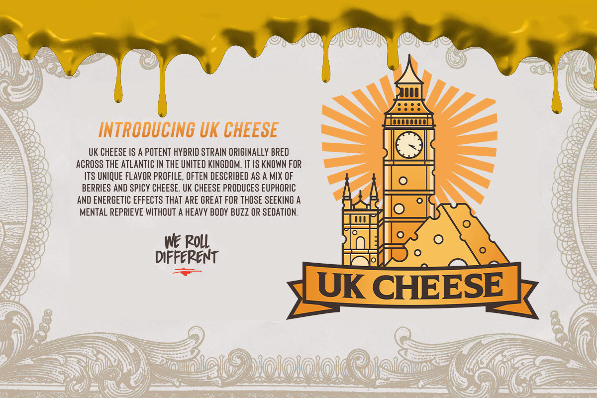 UK Cheese 7g Juniors - The Flowery Shop