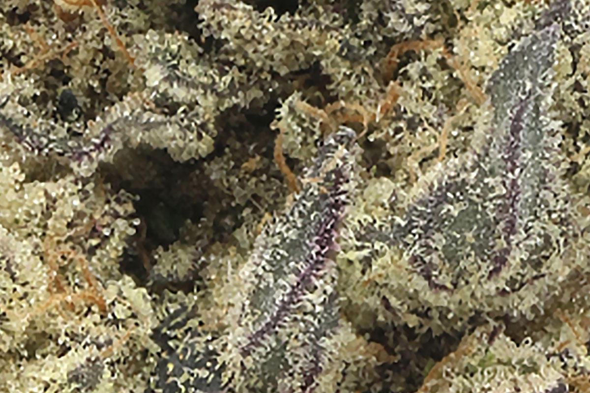 710 Labs 3.5g Flower - Tupac Pure Kush #1 - The Flowery Shop