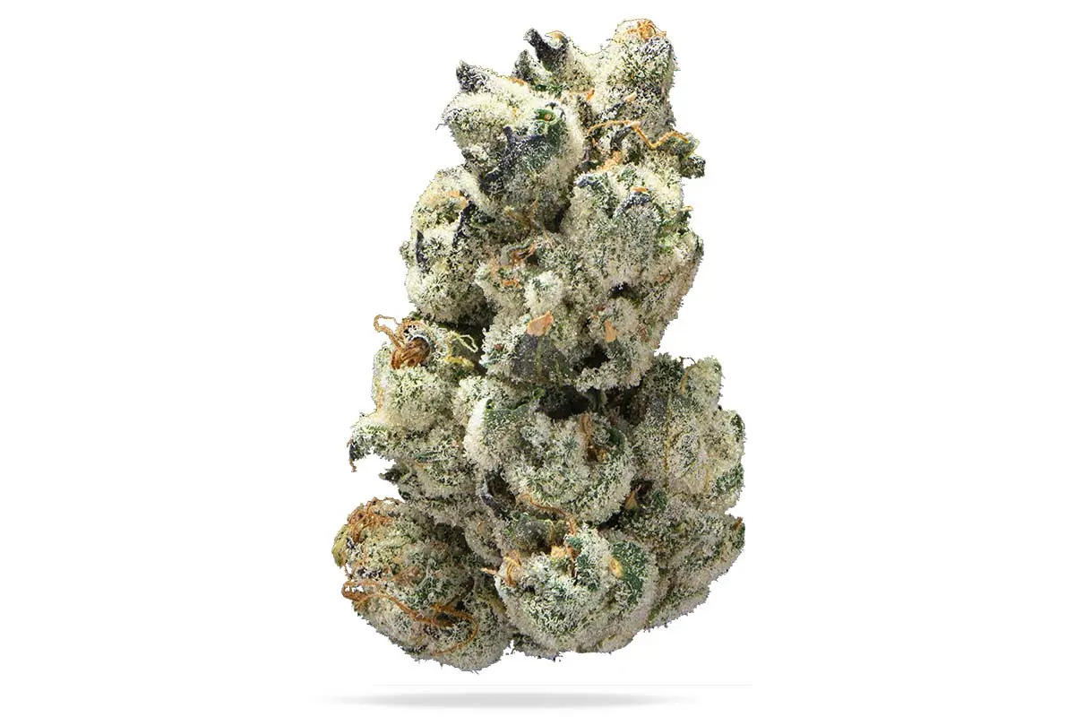 710 Labs 3.5g Flower - Garlic Cocktail #7 - The Flowery Shop