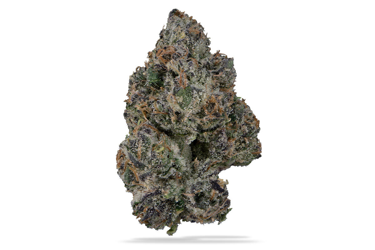 SD Cherry Popperz Eighth - The Flowery Shop