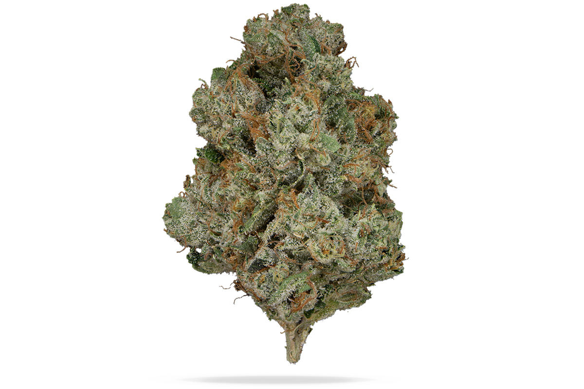 Josh D 14g Flower - Costa Kush - The Flowery Shop