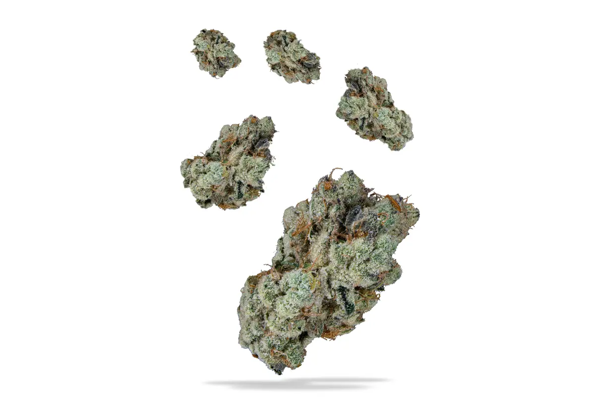 Chicken n Wafflez 7g Juniors - The Flowery Shop