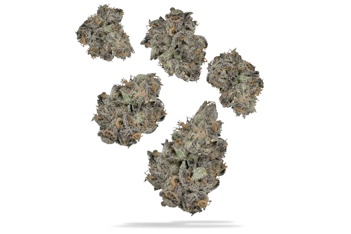 Orange Magic 7g Juniors - The Flowery Shop