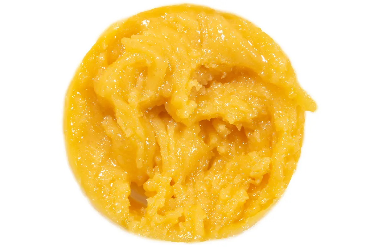 Badder 1G - SD Lemon Popperz - The Flowery Shop