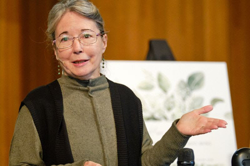 Living or Crispy Sacrifice? - Sanctuary Inn