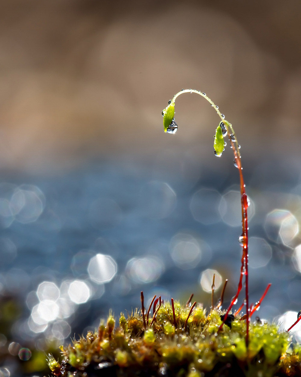 Best Tips For Creative Photos-Photography Certificate Course
