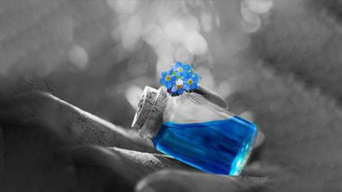 What is Monochrome Photography and How to Shoot?