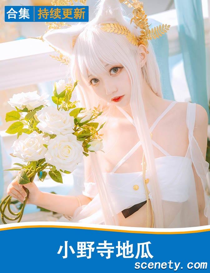 【伊喵君_Nya】微博Coser写真作品合集[13套][3.77GB] - 小七图库