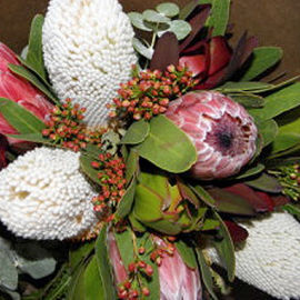 Kotara same day premium flower delivery | Newcastle Flowers By Design