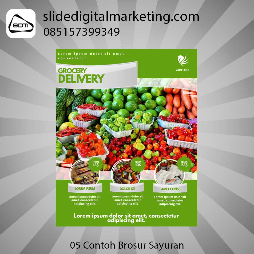 10+ Contoh Brosur Pamflet Leaflet Poster Sayuran