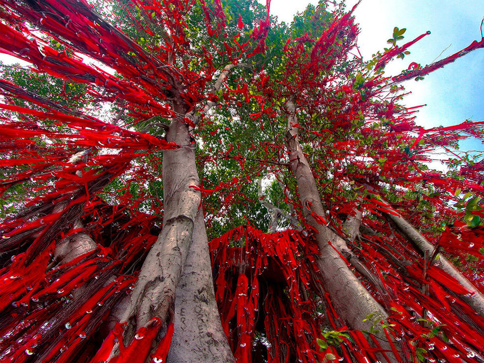 Sekinchan Wishing Tree - Tourism Selangor