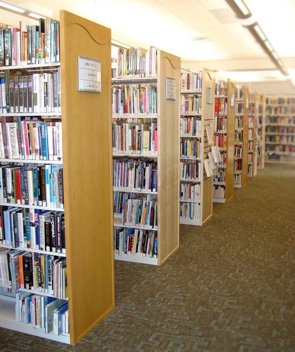 15 Ideas of Library Shelfs