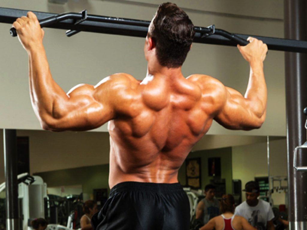 6 Best Exercises For Building a Strong Back
