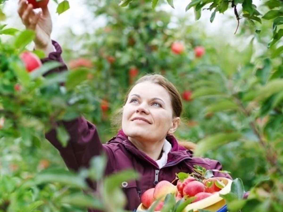 What is Horticulture? Is it important?