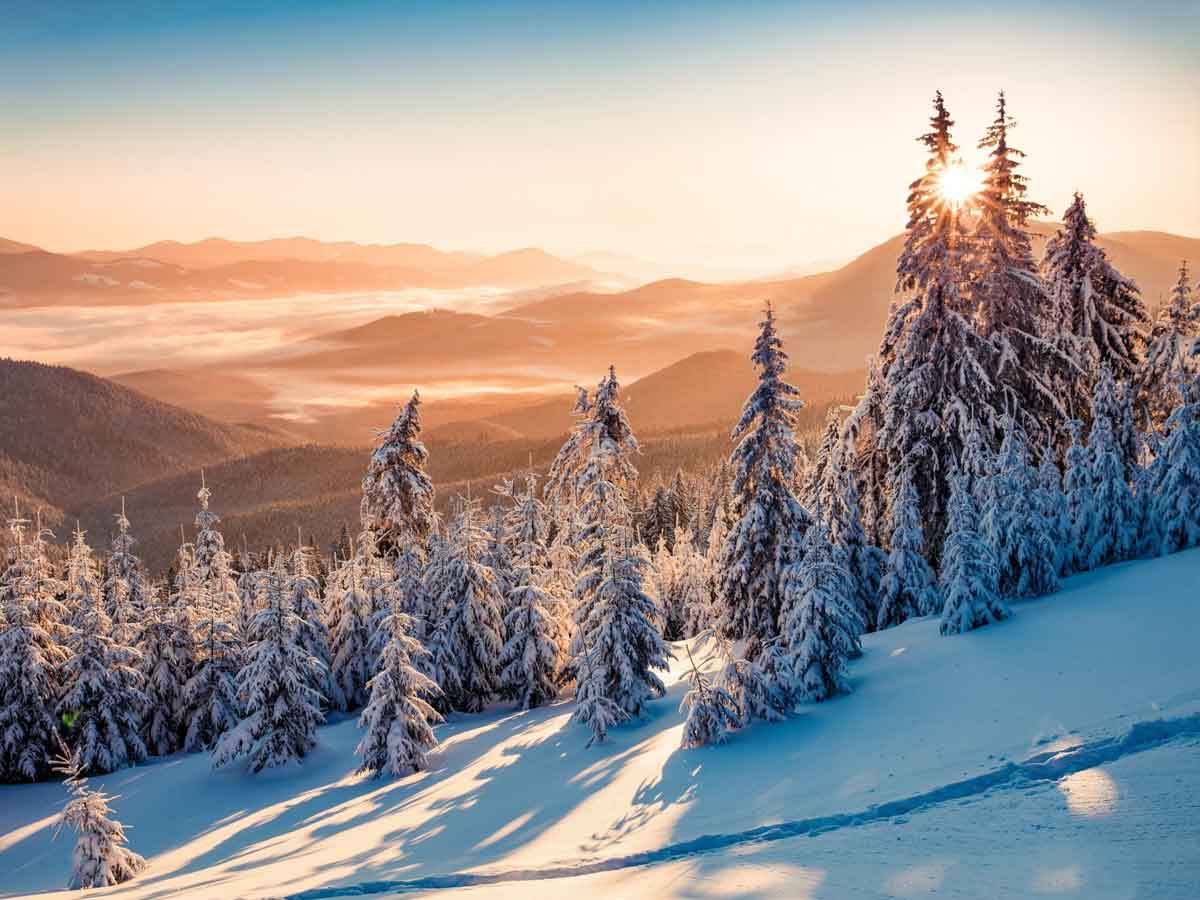 Winter solstice: A Longer Winter night