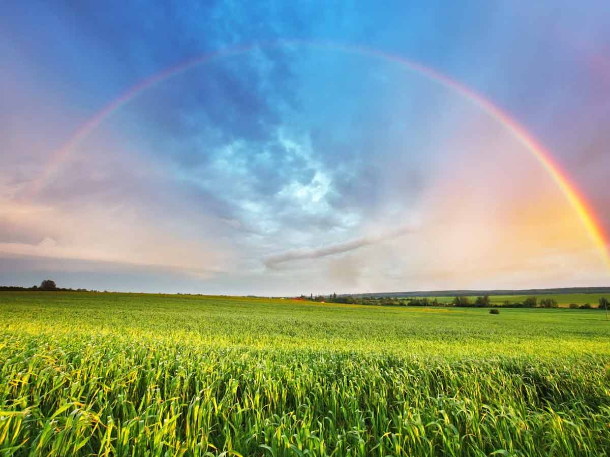 Rainbow Colors: What is 7 colors Spectrum